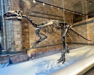 How To ‘Read’ A Dinosaur - The Natural History Museum's Collection in ...